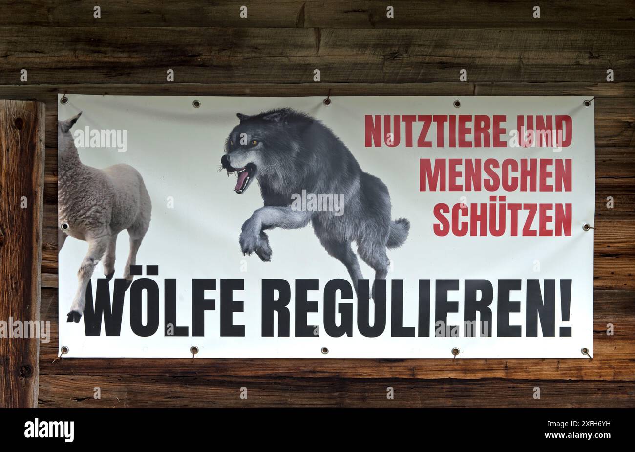 Problem wolves hi-res stock photography and images - Alamy