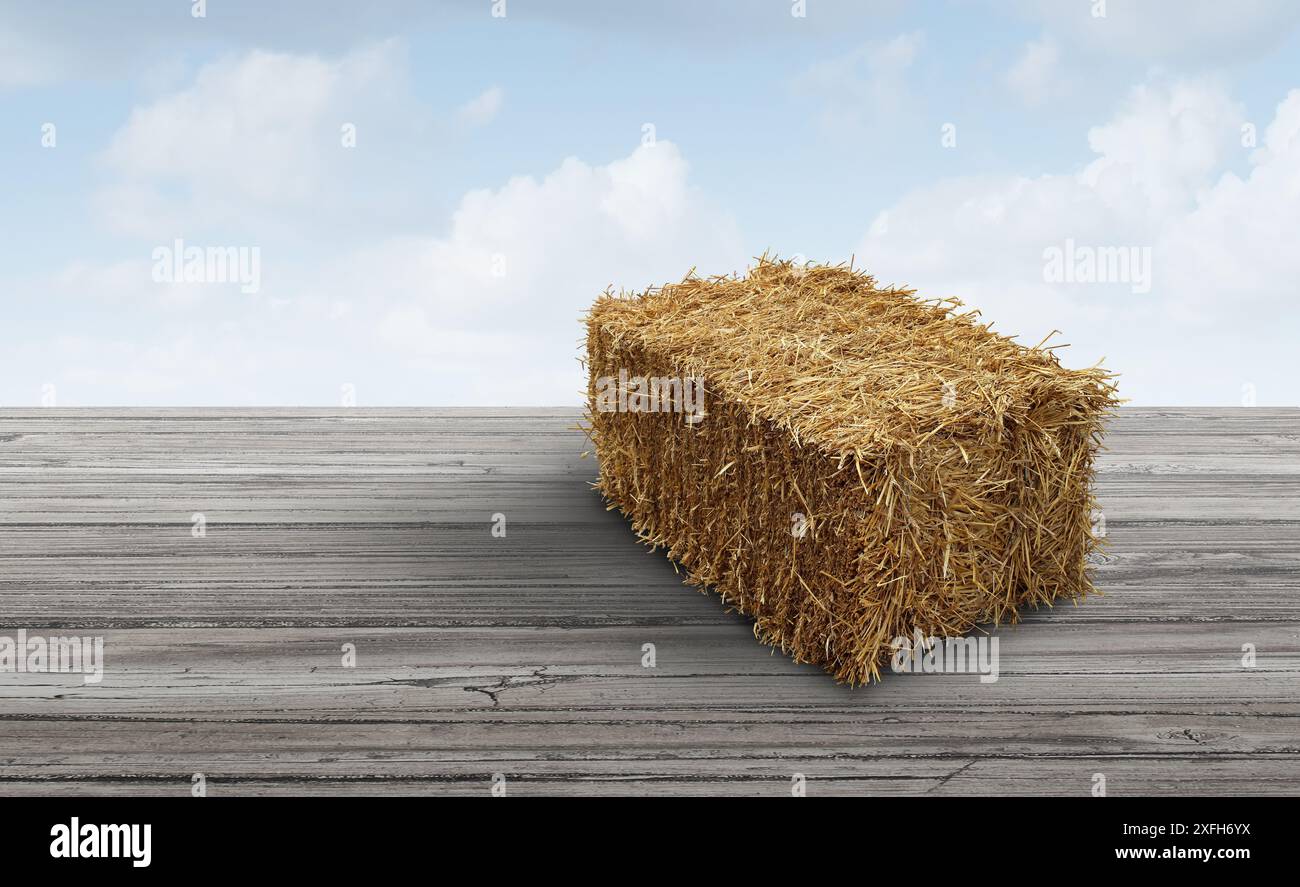 Bale of hay background as an agriculture farm and farming symbol of ...