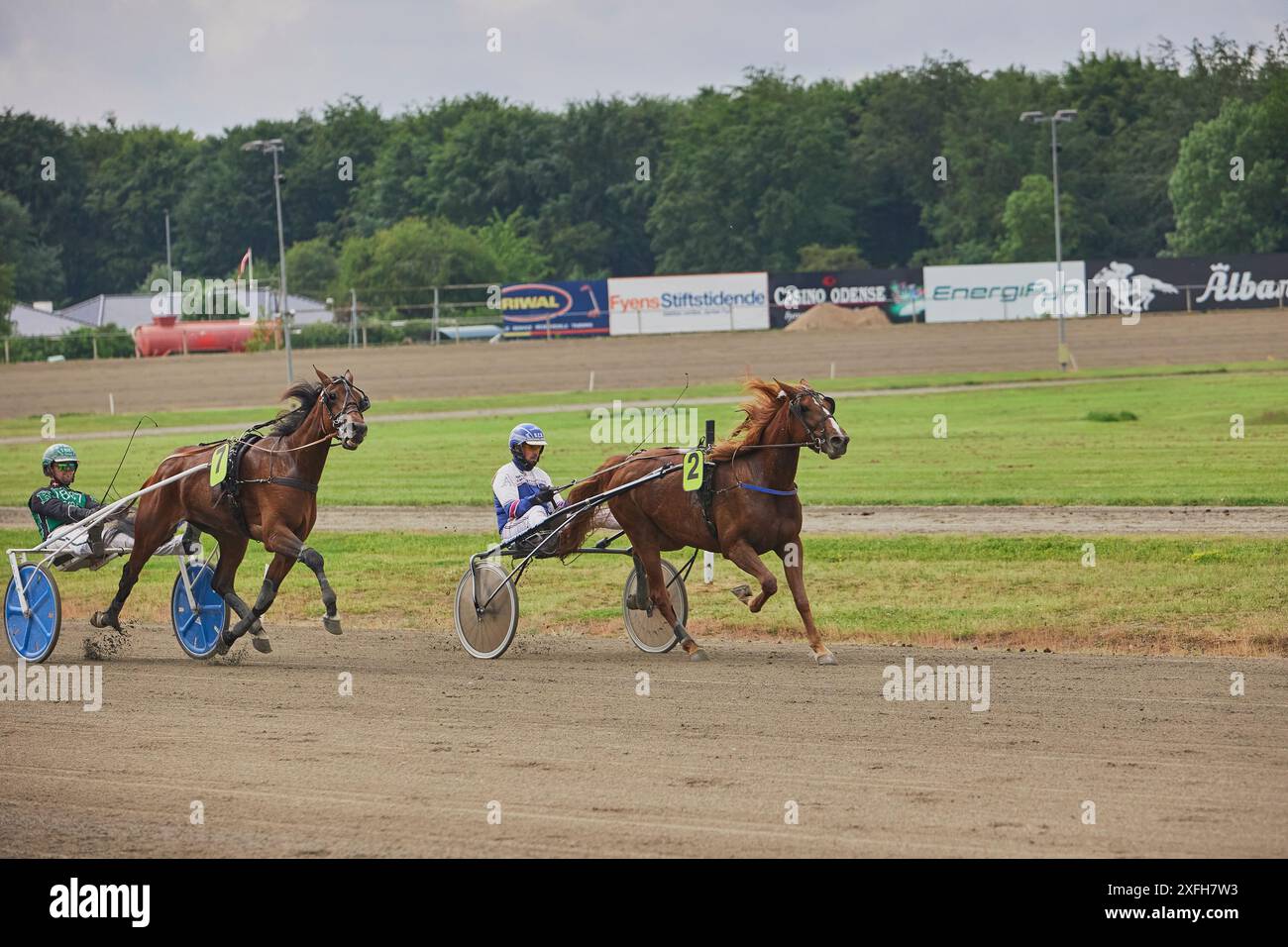 Odense, Denmark, May 31, 2024: Horse racing with carts at hippodrome ...