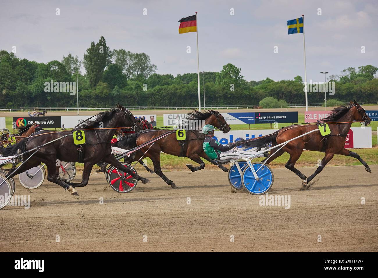Odense, Denmark, May 31, 2024: Horse racing with carts at hippodrome ...