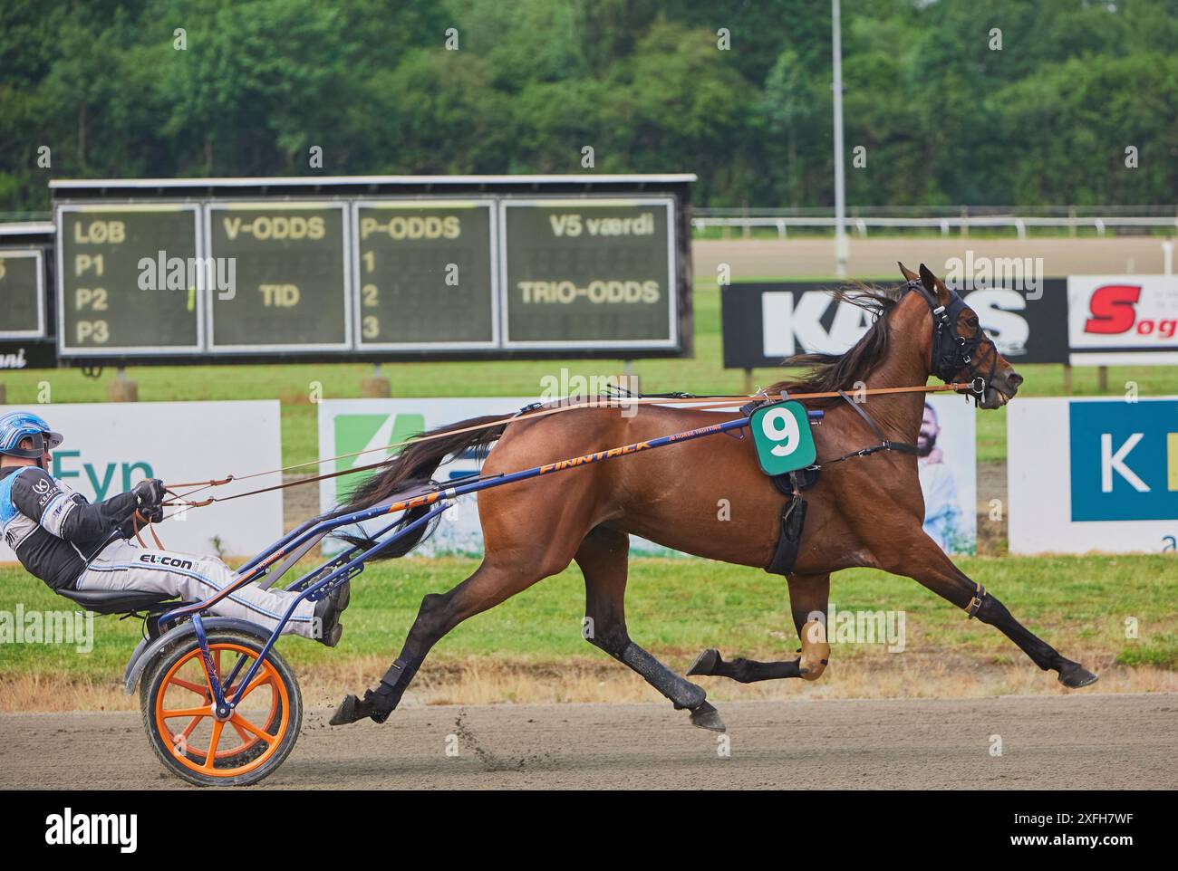 Odense, Denmark, May 31, 2024: Horse racing with carts at hippodrome ...