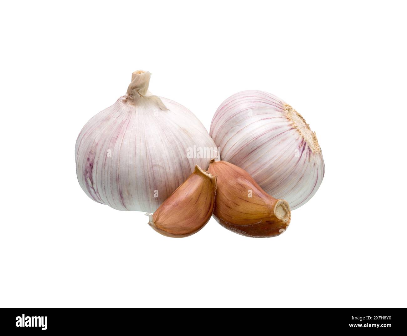 Garlic Isolated on white background Stock Photo - Alamy