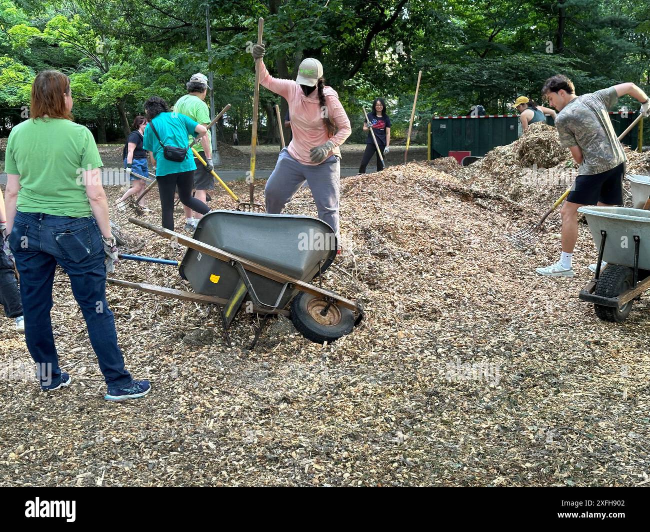 Volunteers redistribute mulch at Prospect Park in Brooklyn, NY. Mulch ...