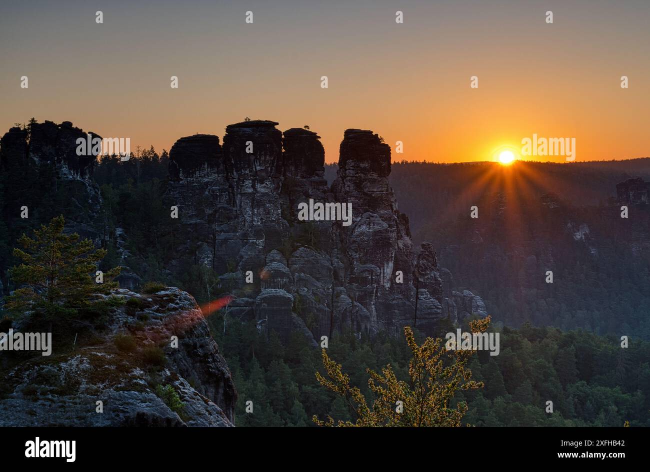 Breathtaking sunrise over rocky cliffs in a serene forest landscape ...