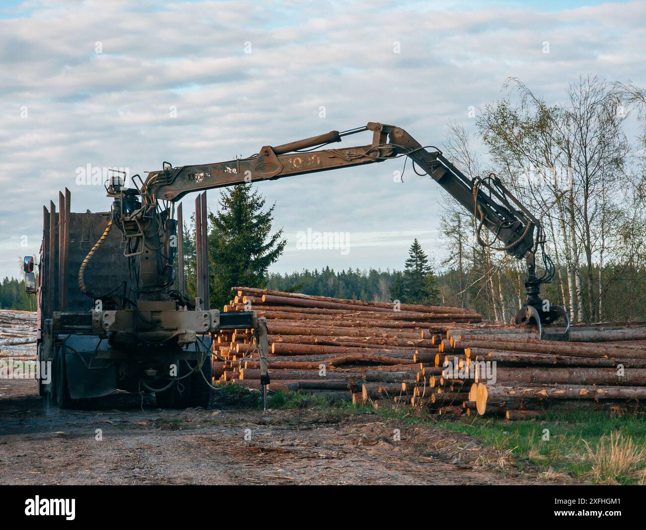 Loading logs using hydraulic machinery on logging truck Stock Photo - Alamy