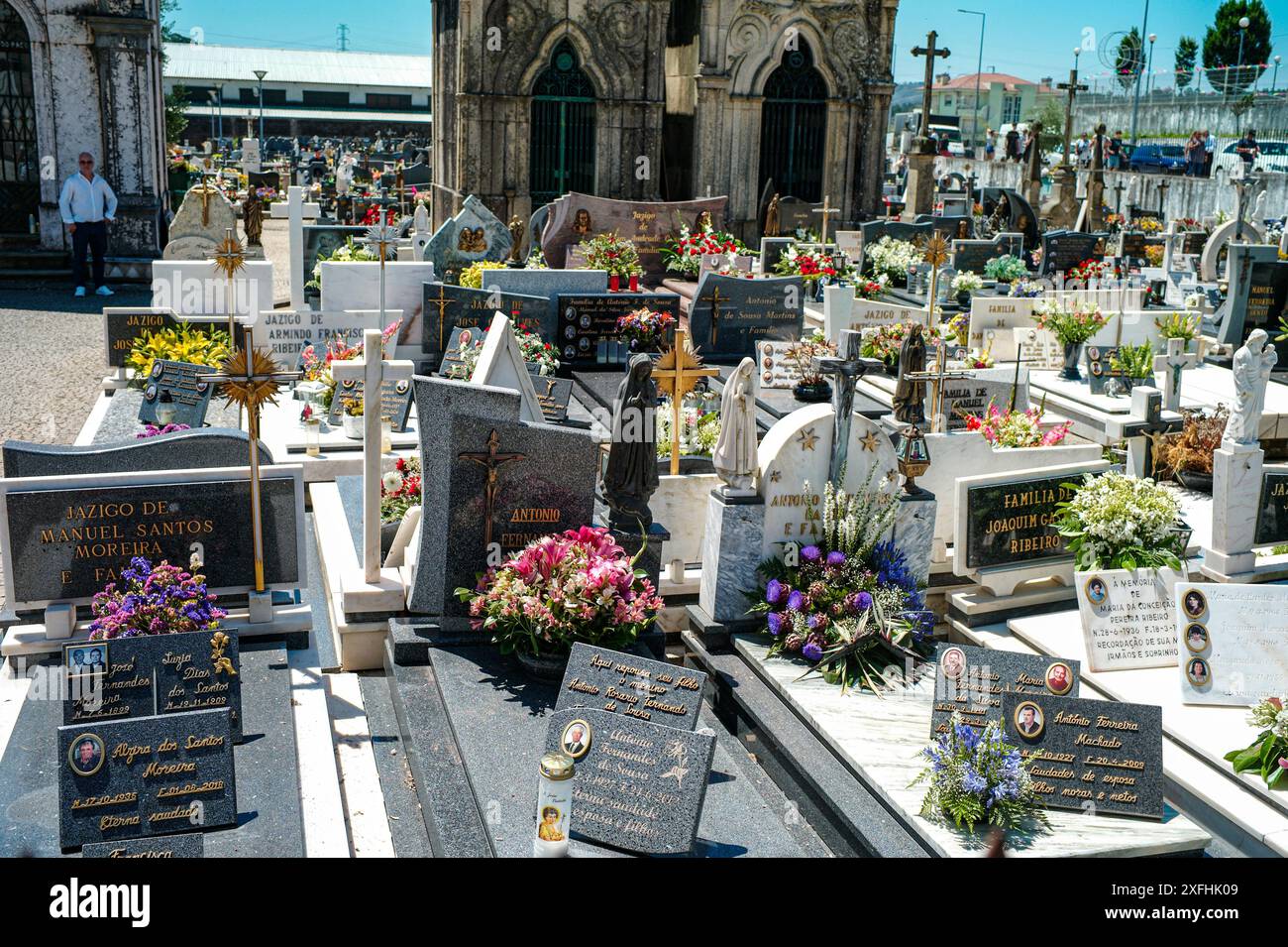 Valongo cemetery hi-res stock photography and images - Alamy