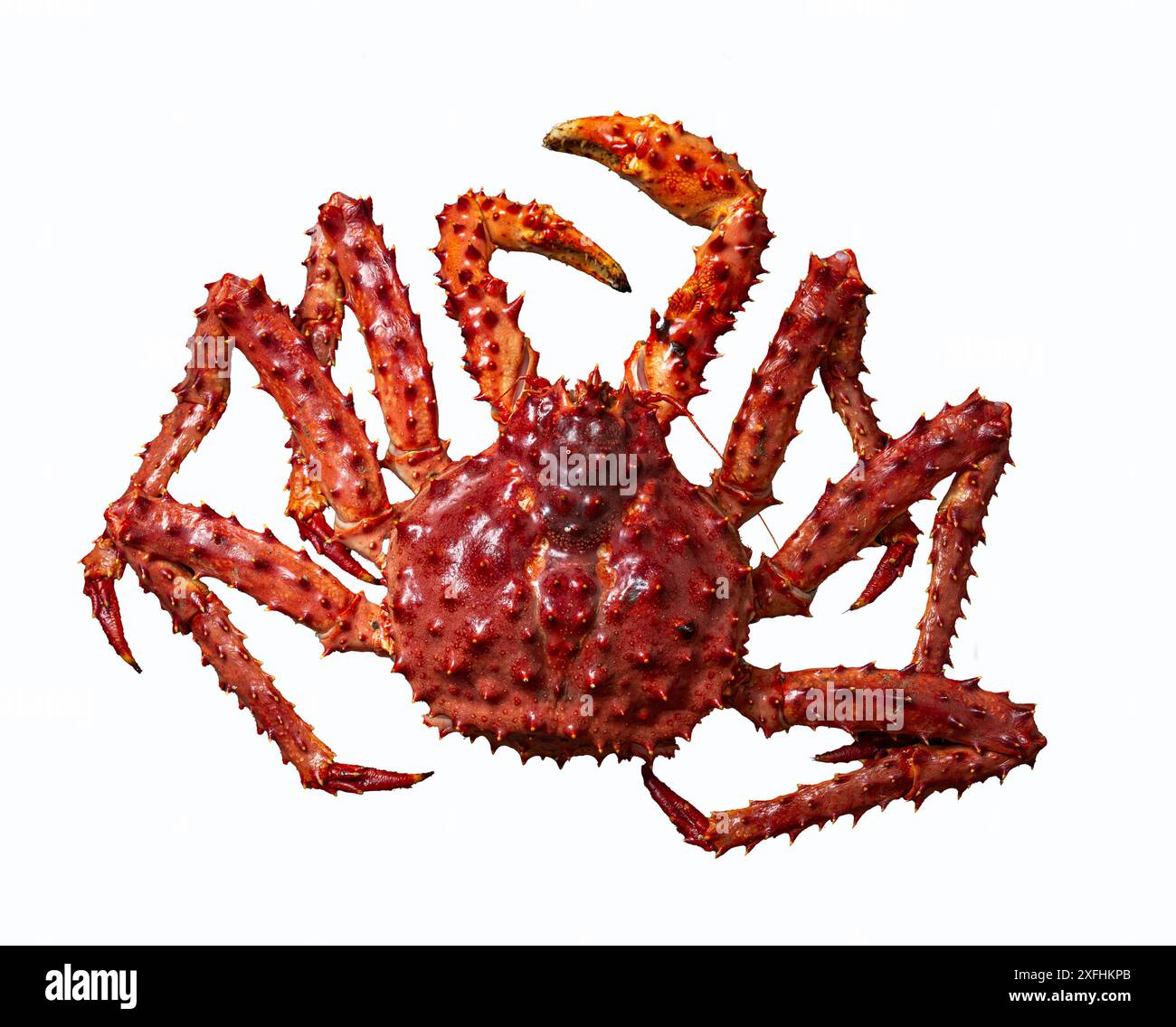 Top view three legs Cut Out Stock Images & Pictures - Alamy