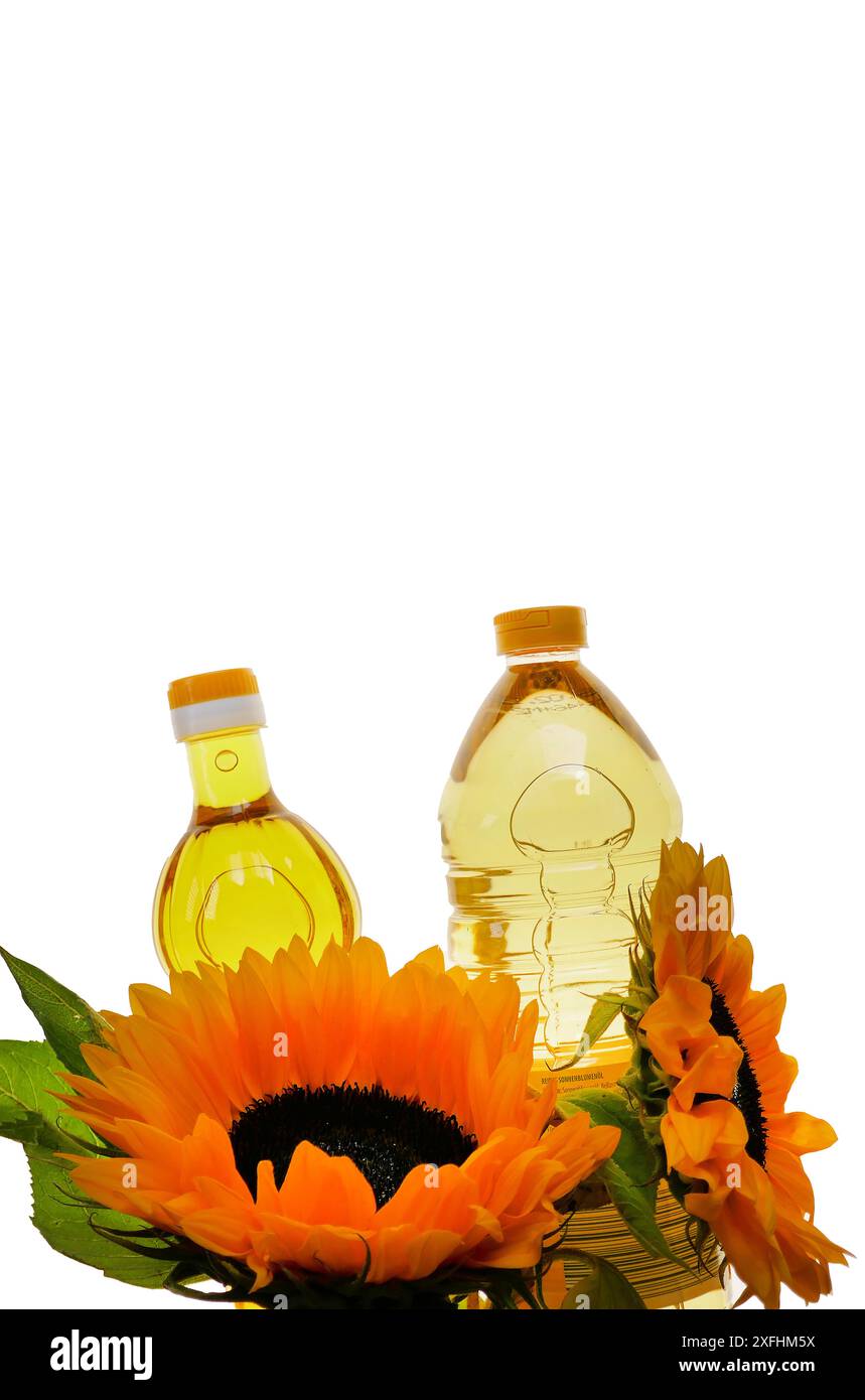 Sunflower oil in bottles isolated on white background.Oil for salads ...