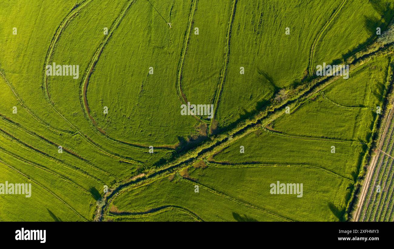 Sustainable farming chile green hi-res stock photography and images - Alamy