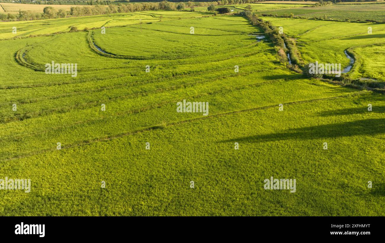 Sustainable farming chile green hi-res stock photography and images - Alamy