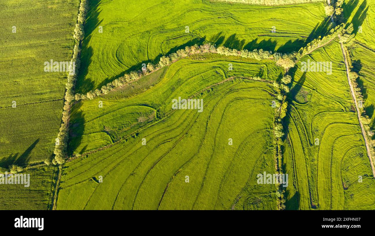 Sustainable farming chile green hi-res stock photography and images - Alamy