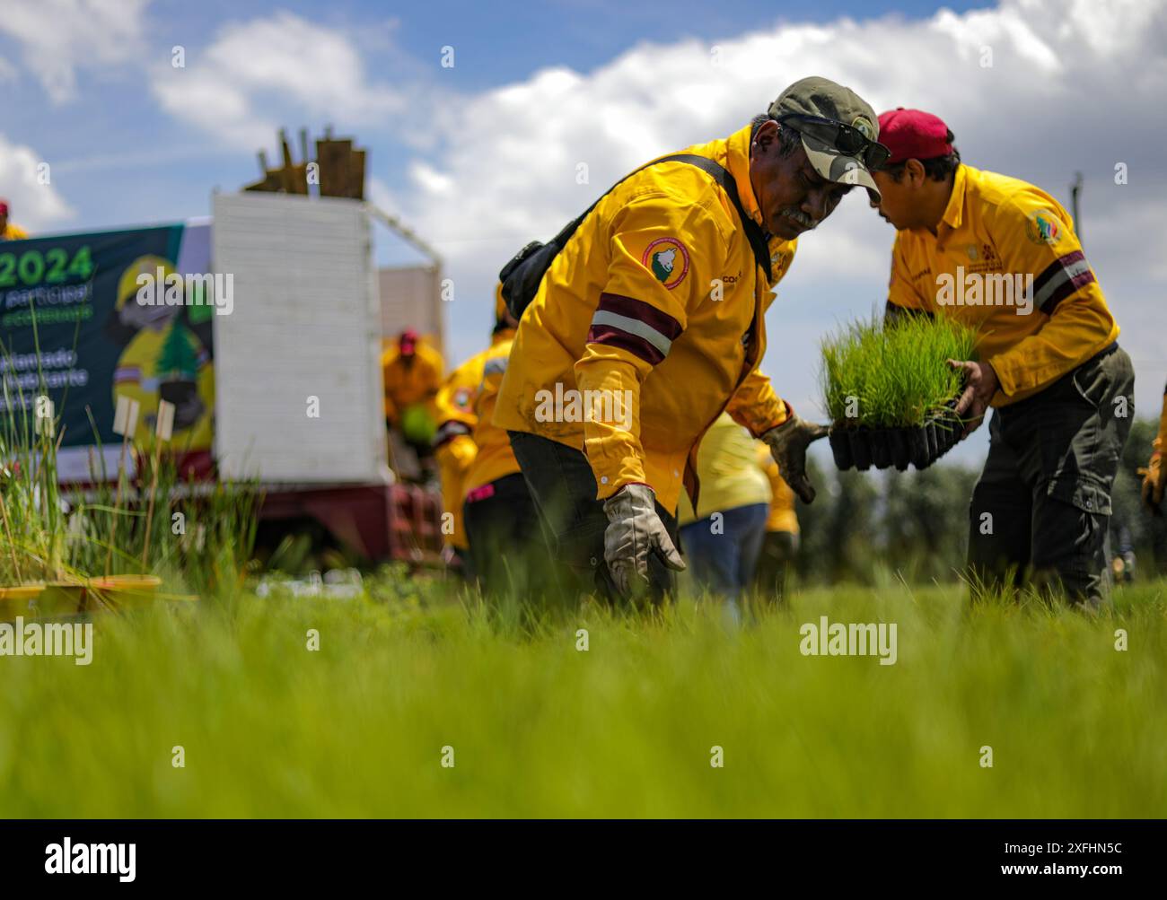 Workers of Heroic brigade corps planting containers with different ...