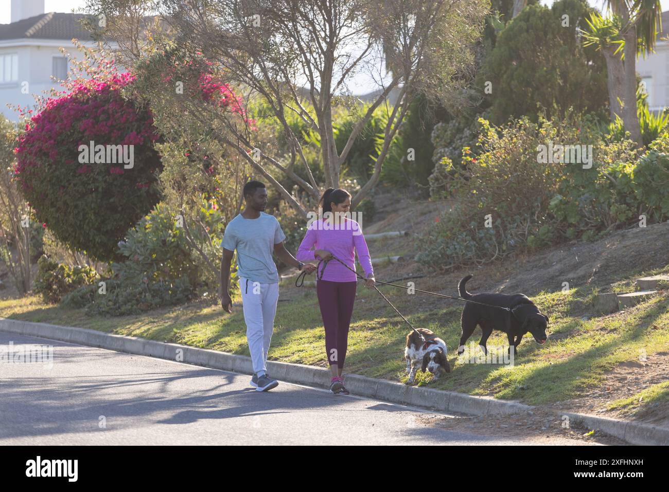 Walking dogs, couple enjoying outdoor stroll in residential ...