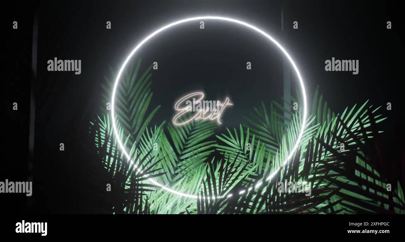 Image of exit text over neon frame and tropical leaves on black ...