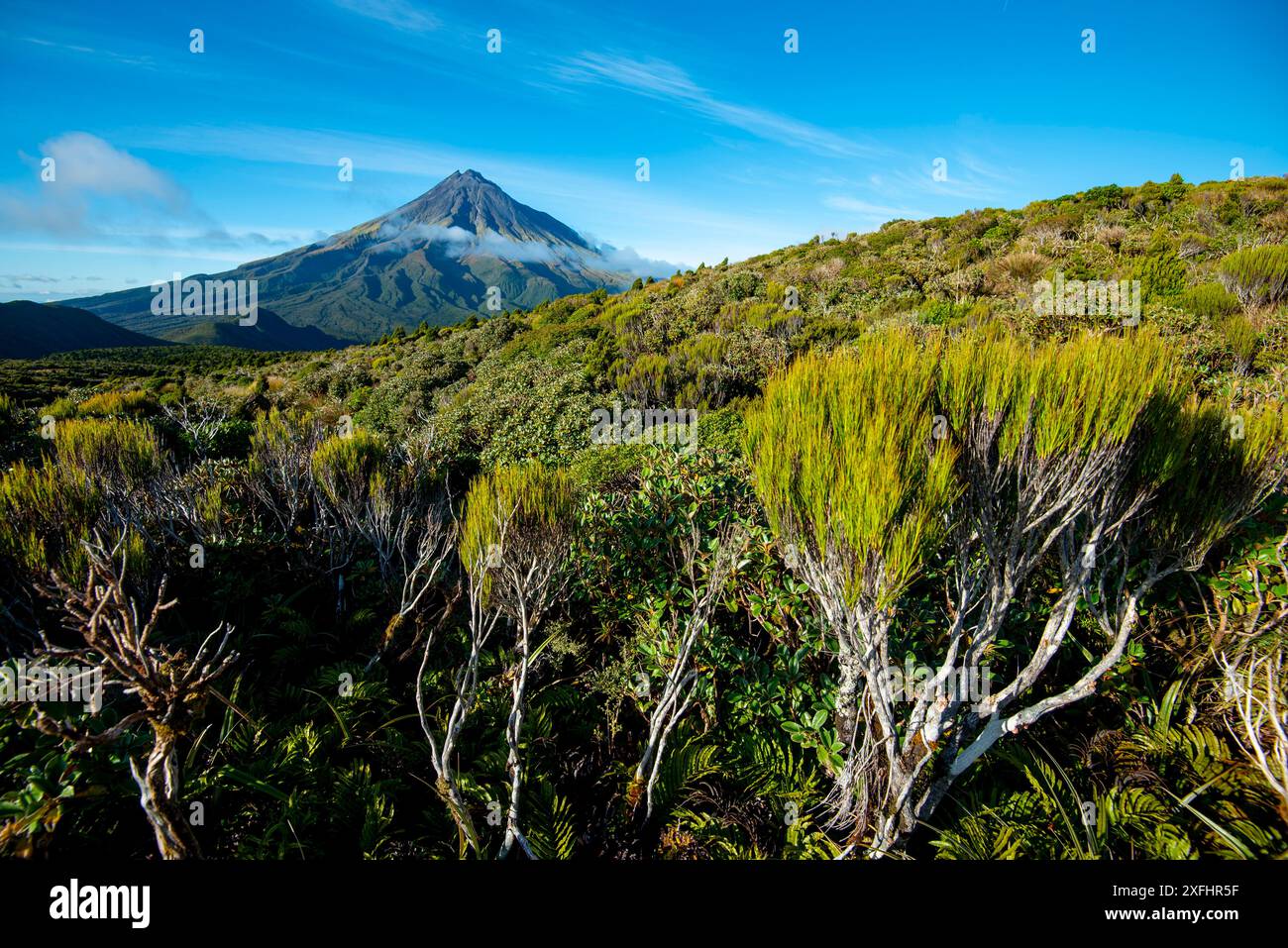 Pouakai trek hi-res stock photography and images - Alamy
