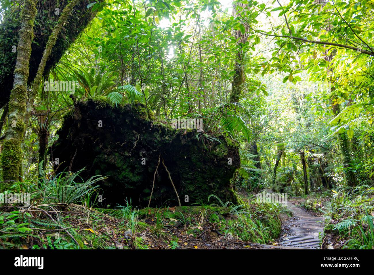 Pouakai trek hi-res stock photography and images - Alamy