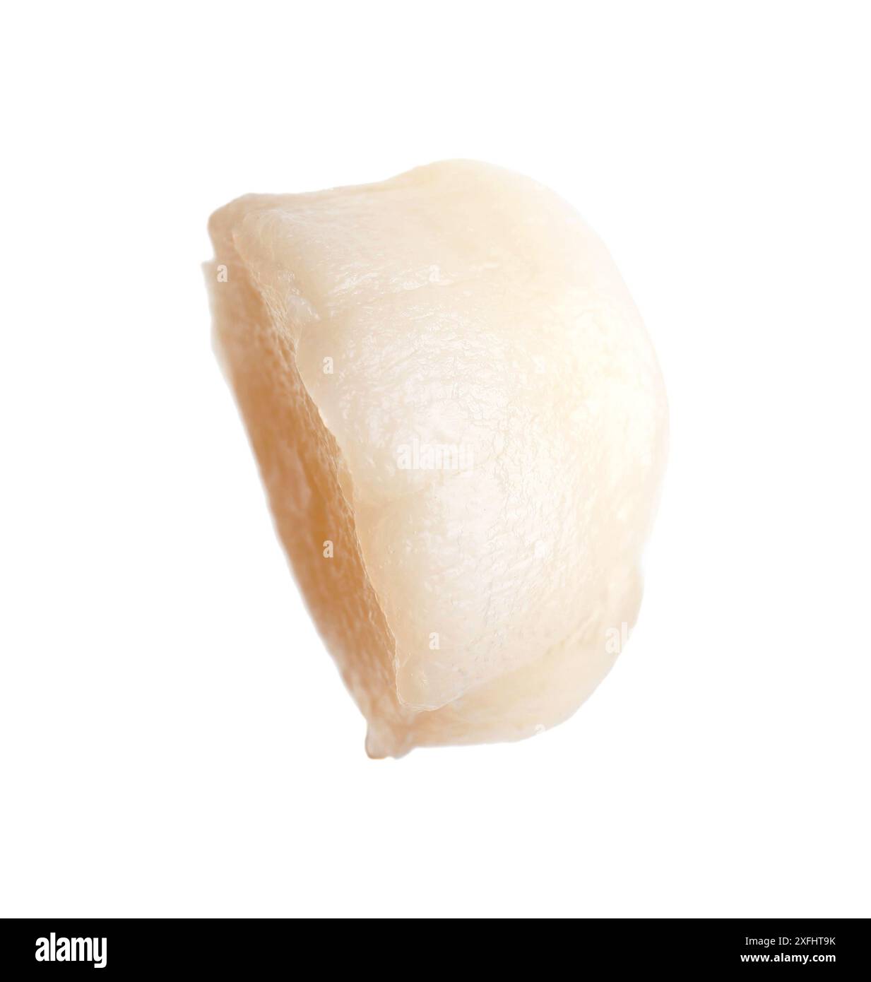 Raw scallop isolated on hi-res stock photography and images - Alamy