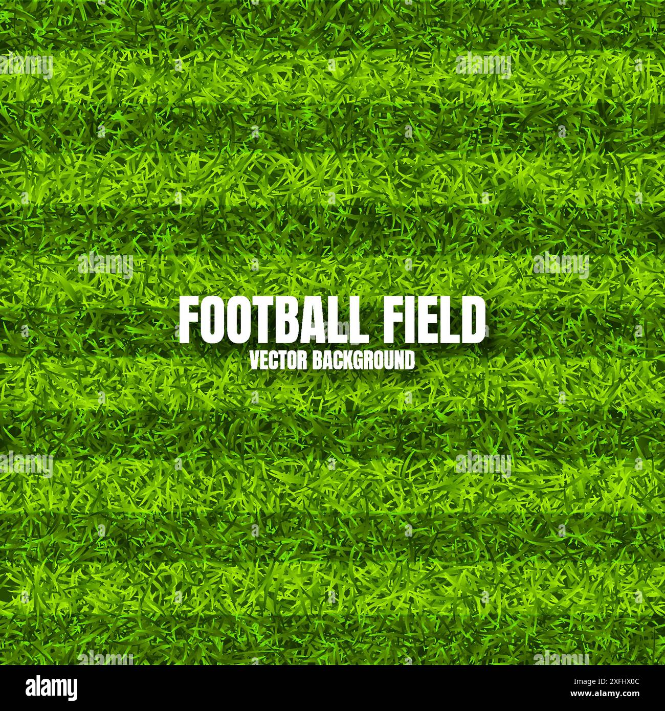 Soccer playing field with green grass. Football pitch background with ...