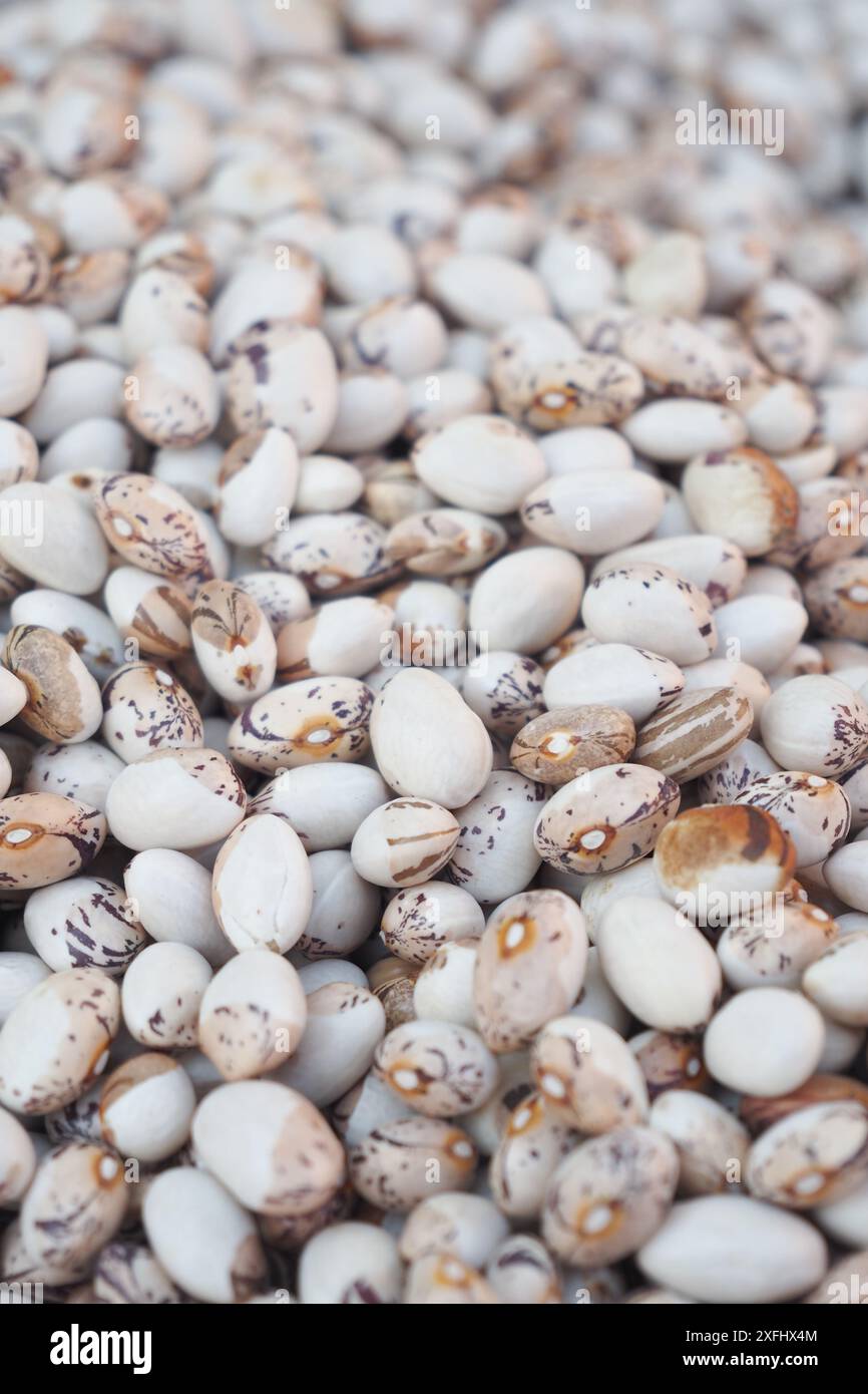 high protein Beans in a bowl Stock Photo - Alamy