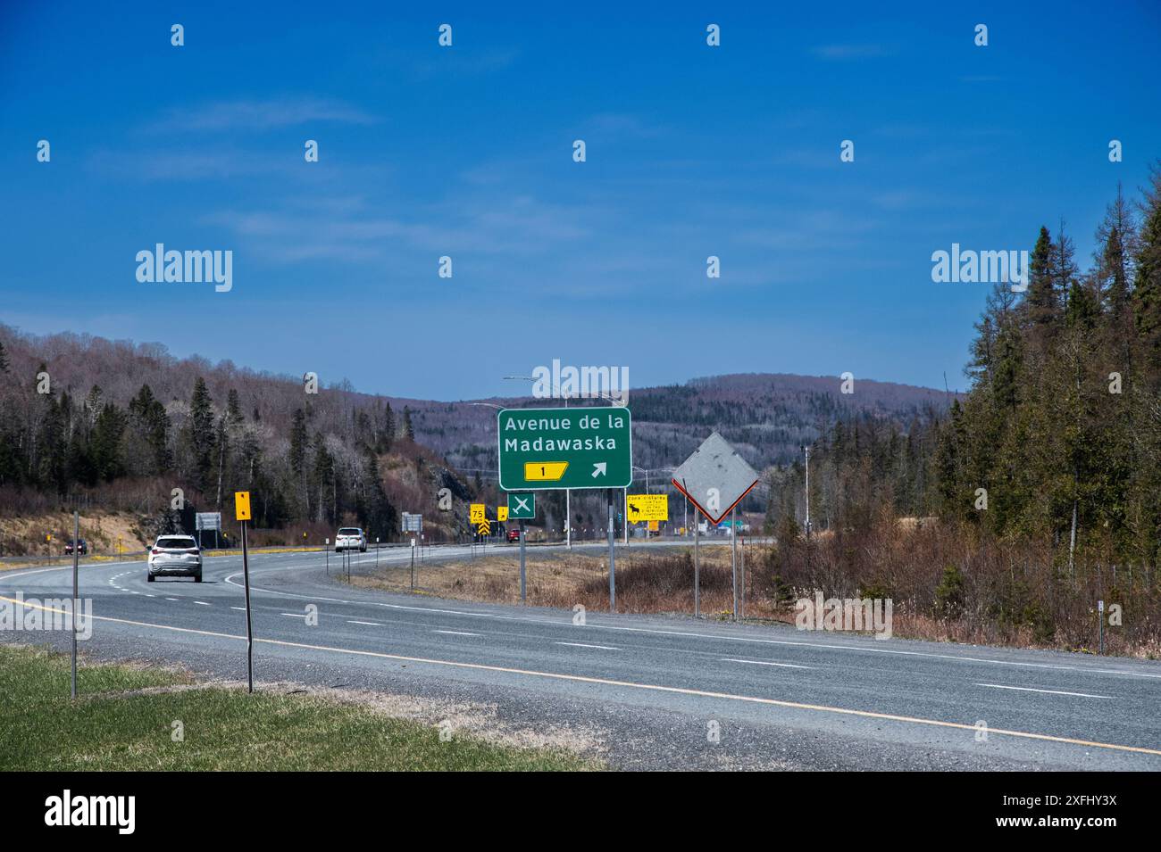 Traffic signs tree hi-res stock photography and images - Alamy