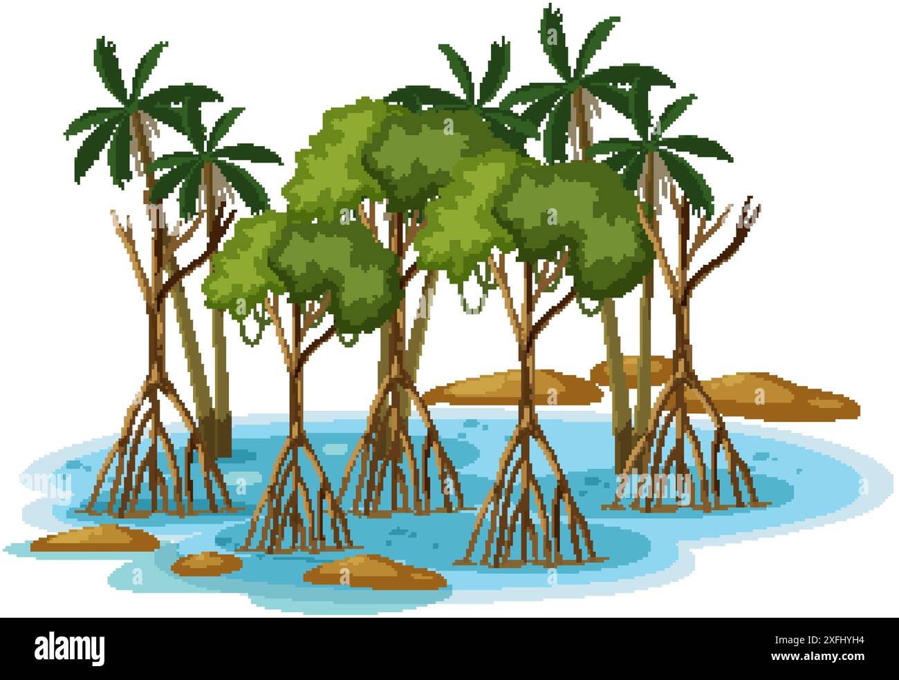 Mangrove trees and palms in a coastal setting Stock Vector Image & Art ...
