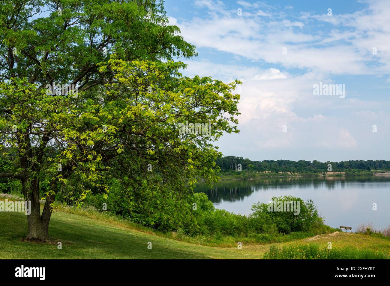 Roush lake hi-res stock photography and images - Alamy