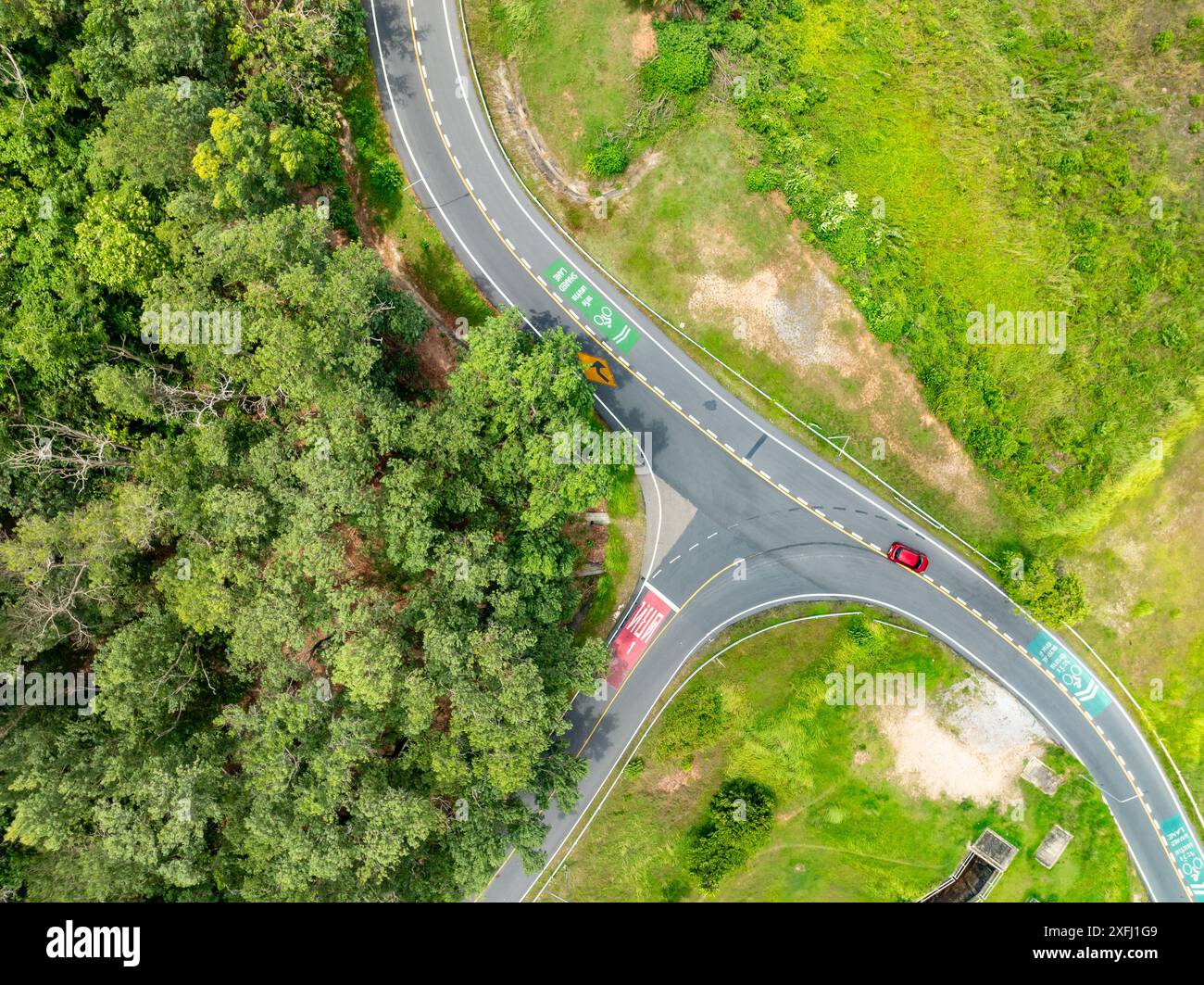 Aerial view Drone camera top view rainforest trees ecology with healthy ...