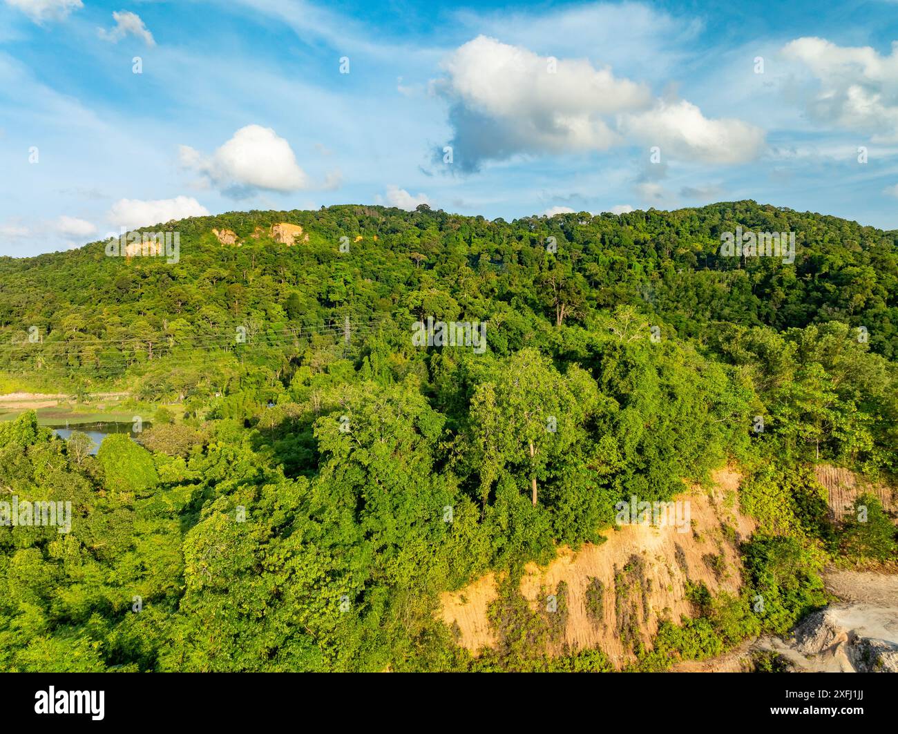 Aerial view Drone camera top view rainforest trees ecology with healthy ...