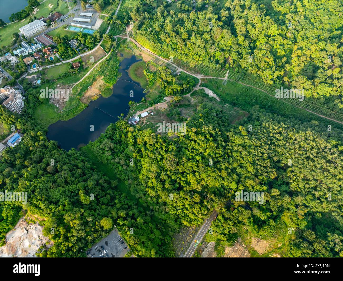 Aerial view Drone camera top view rainforest trees ecology with healthy ...