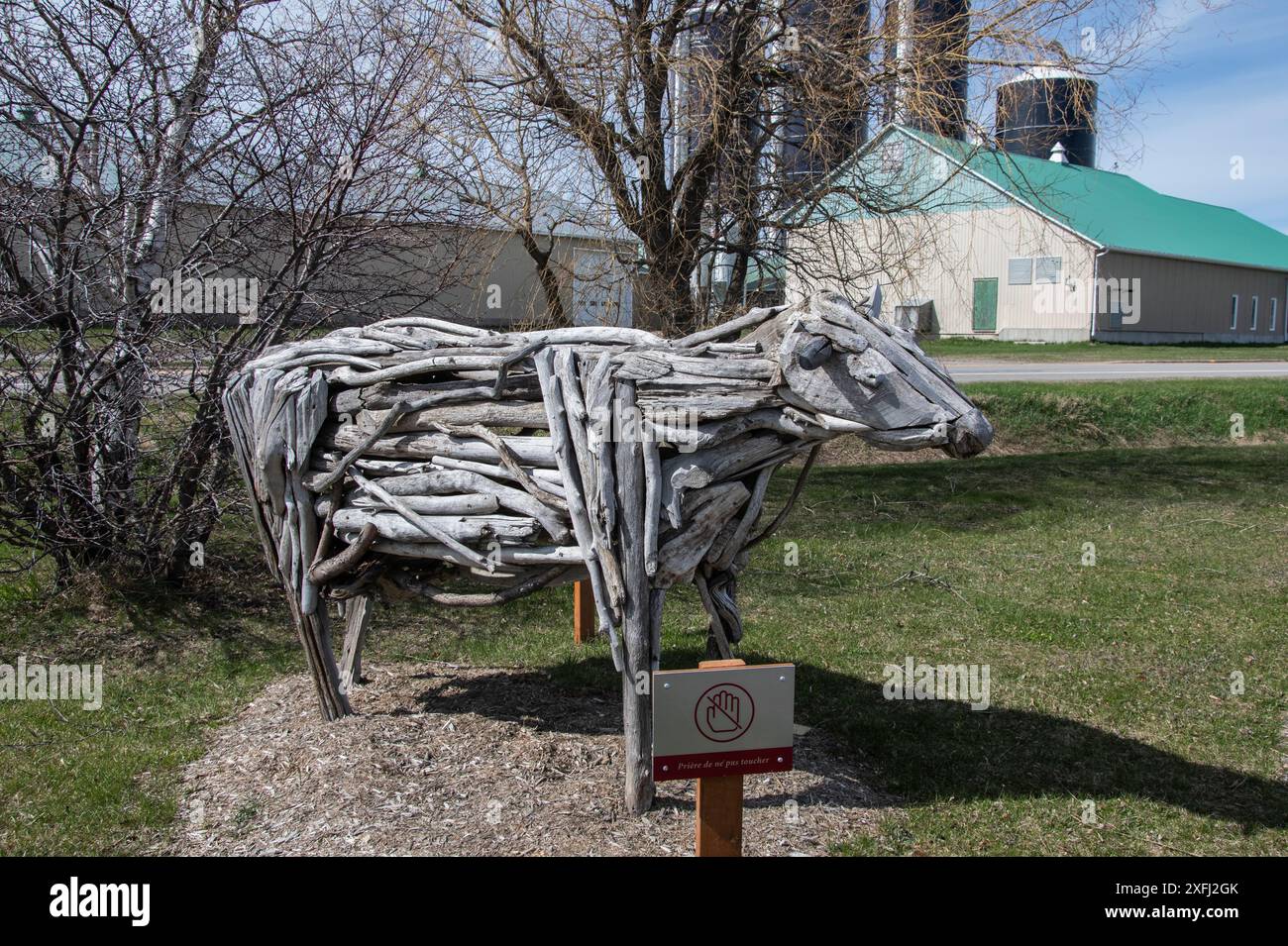 Wooden sculpture of a cow at La Ferme Gilles Landry dairy farm on QC ...