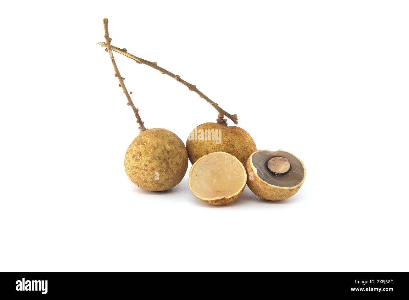 Longan fruits on branch, one of the fruits is cut open, displaying its ...
