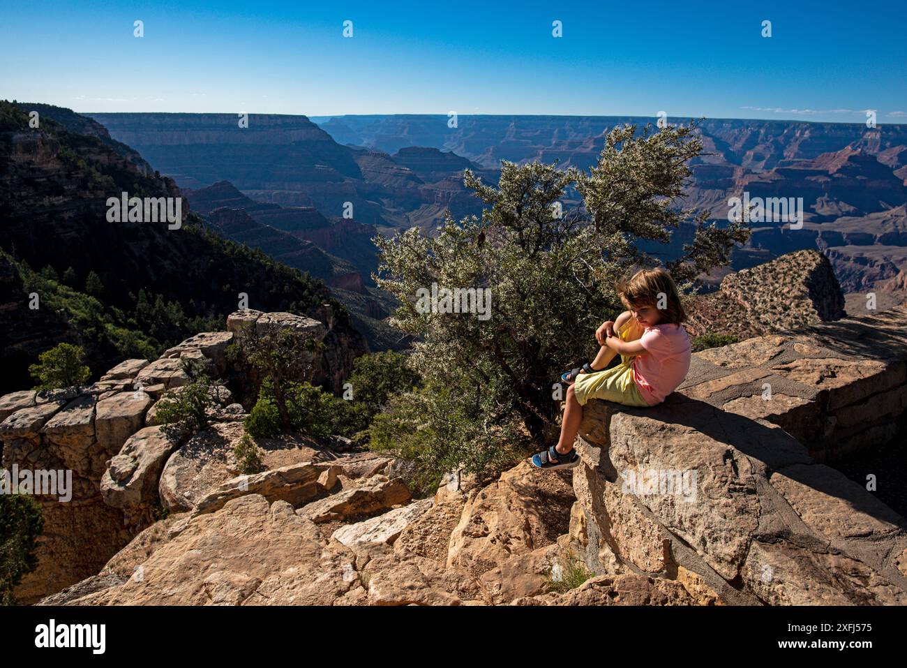 Kid on Grand Canyon. Child enjoy mountain in National Park. Canyon ...