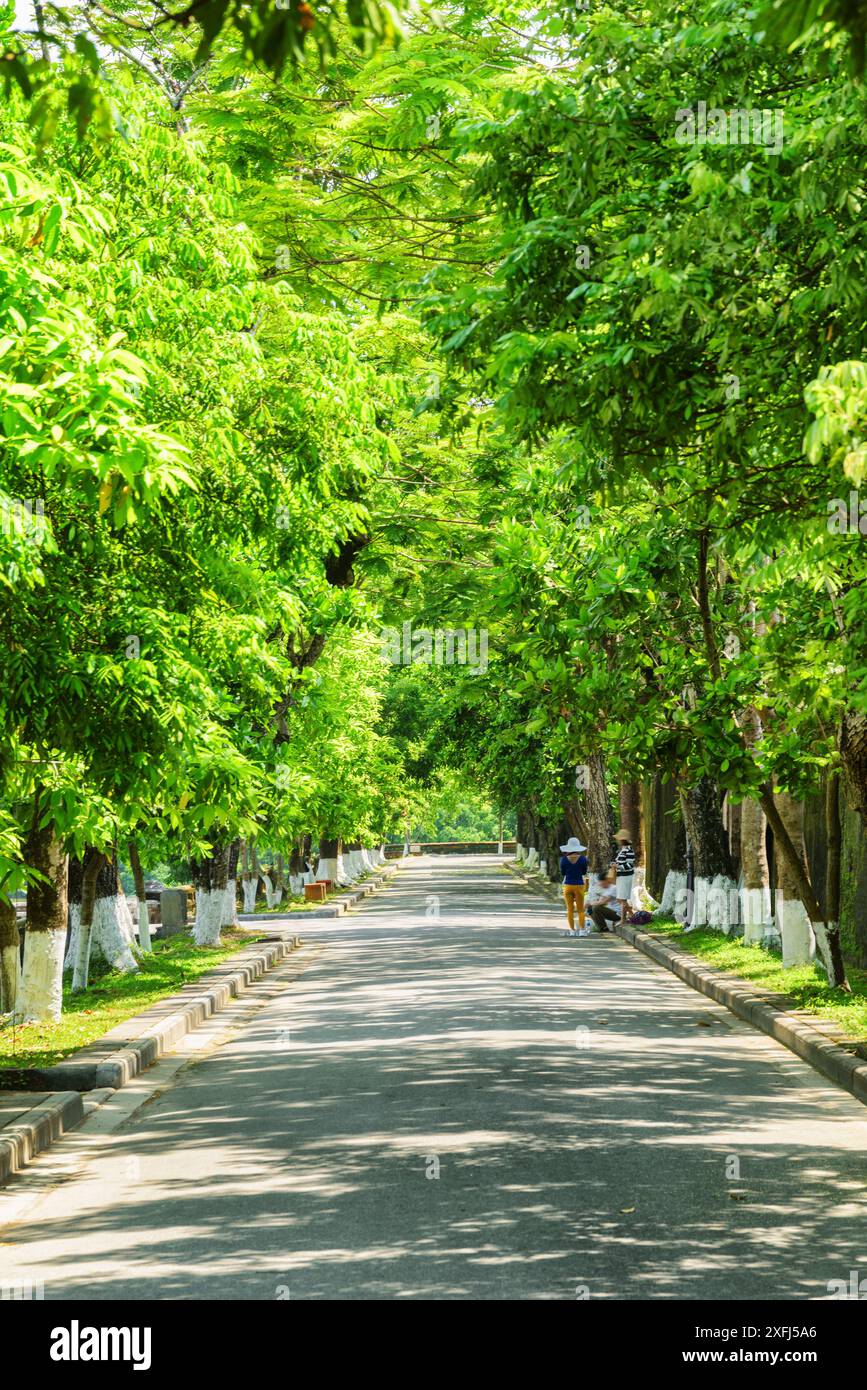 Amazing green shady road on summer sunny day at the Imperial City in ...