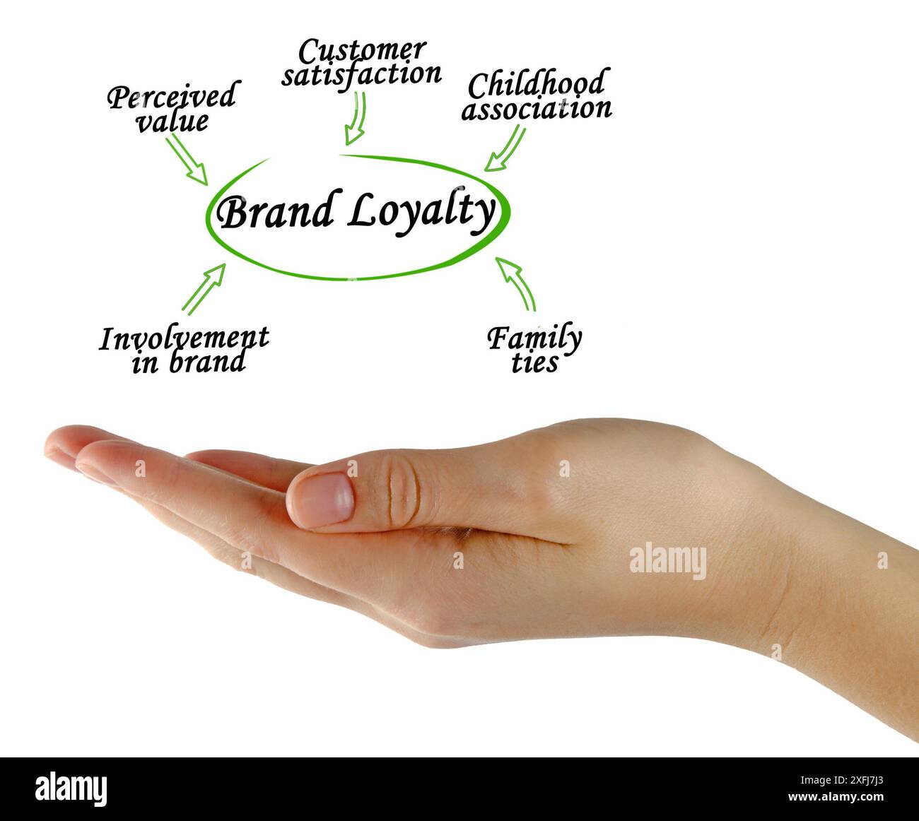Five Drivers of Brand Loyalty Stock Photo - Alamy