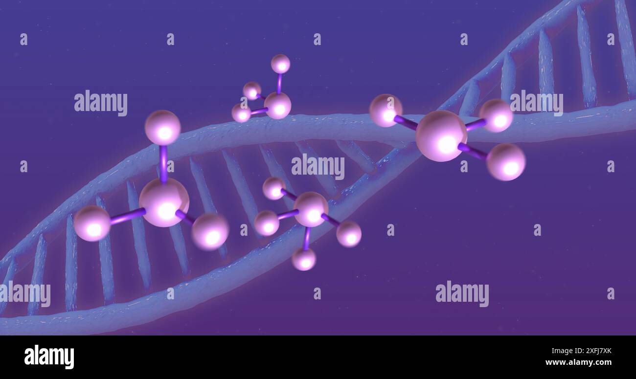 Image of floating molecules over dna chains on purple background Stock ...