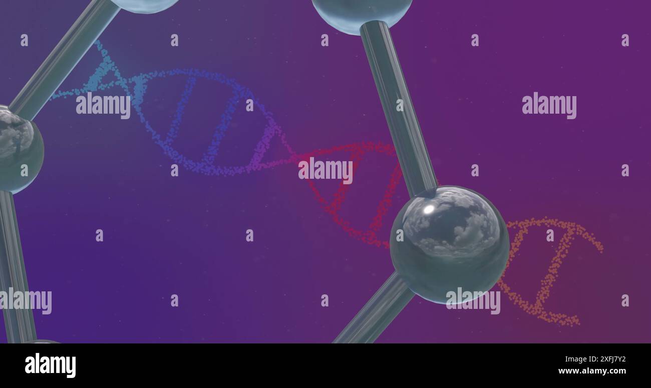 Image of floating molecules over dna chains on purple background Stock ...