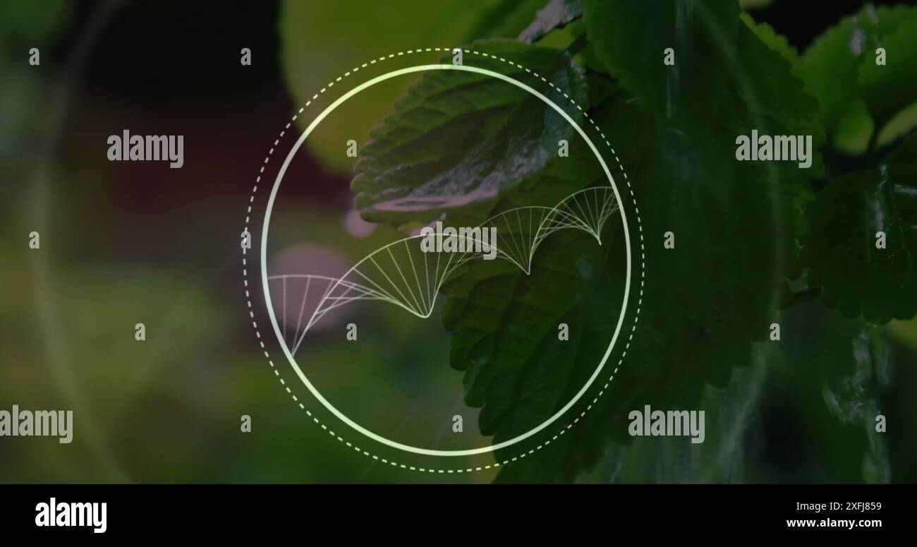 Digital composition of dna structure spinning against water falling on ...