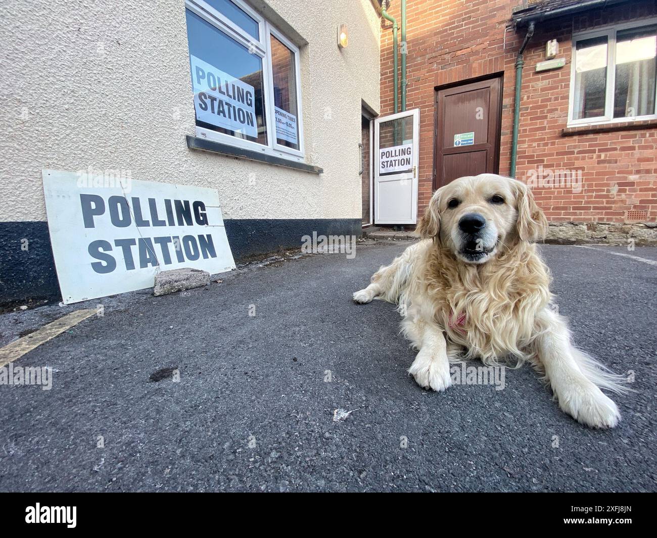 Dogs at polling stations 2024 hi-res stock photography and images - Alamy
