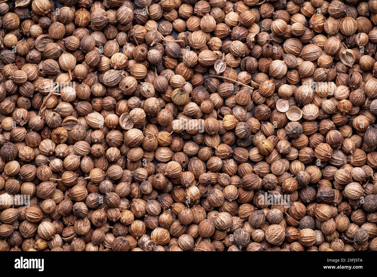 Top view of dry coriander seeds as condiment Stock Photo - Alamy