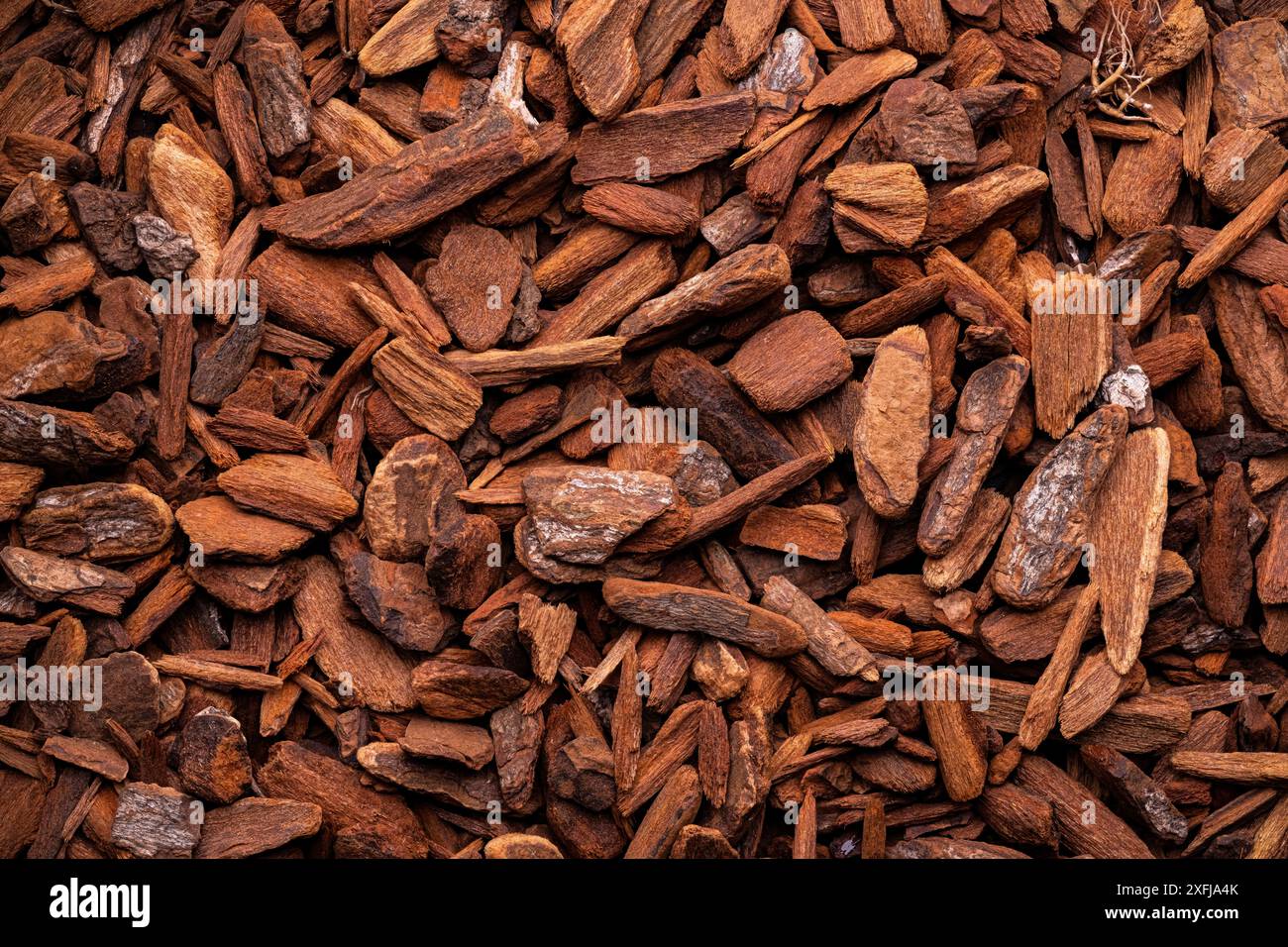 Top view of dry quinquina bark chopped Stock Photo - Alamy