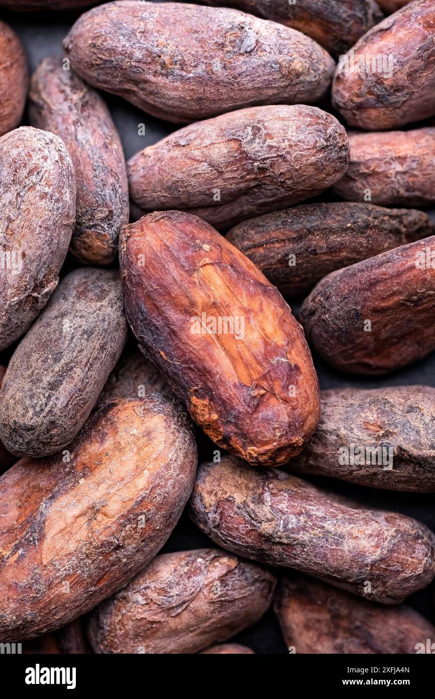 Top view of roasted cacao beans Stock Photo - Alamy