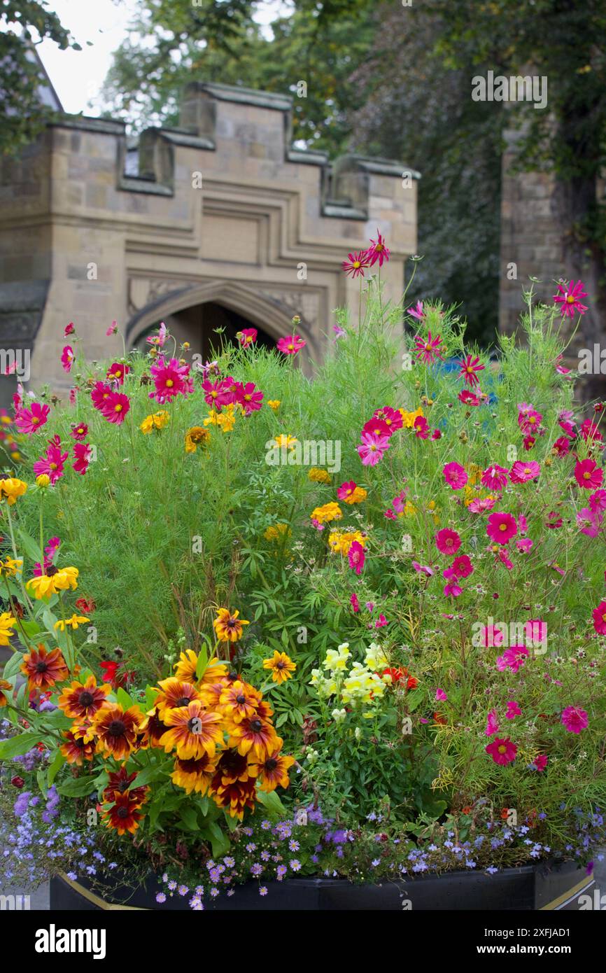 Flowers near the Lych Gate war memorial outside St Andrew's Church in ... Flowers near the Lych Gate war memorial outside St Andrew's Church in ...