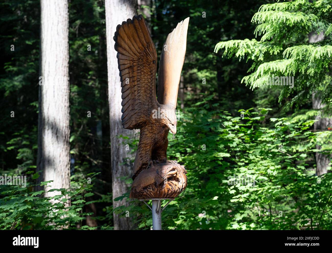 Vancouver CAN, Kanada / Canada, Urlaubseindruecke und ...