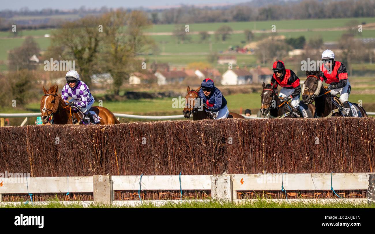 Point to point horse betting uk hi-res stock photography and images - Alamy