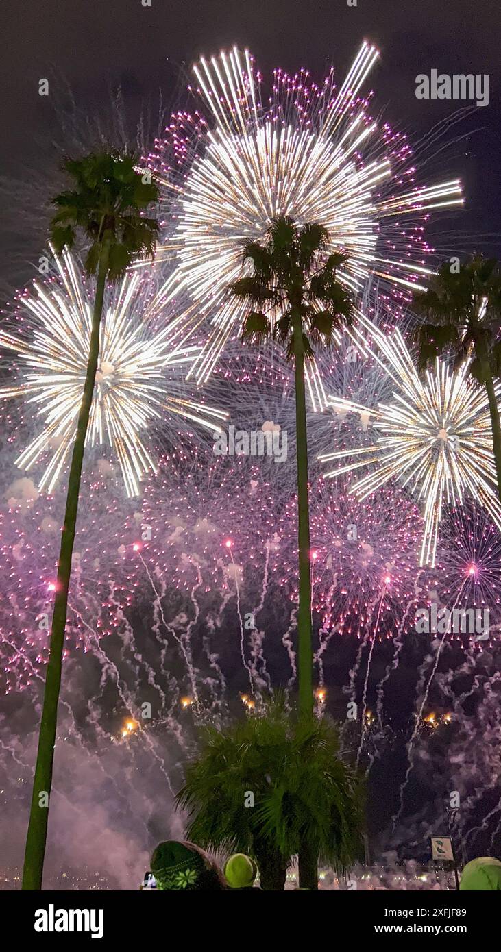 Spectacular fireworks display lighting up the night sky with palm trees ...
