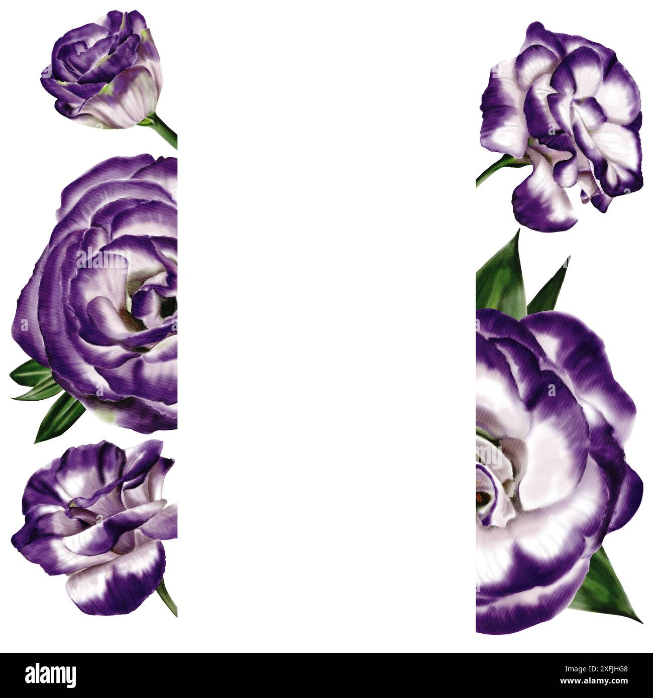 double frame of eustoma, lisianthus and bluebell flowers. White and ...