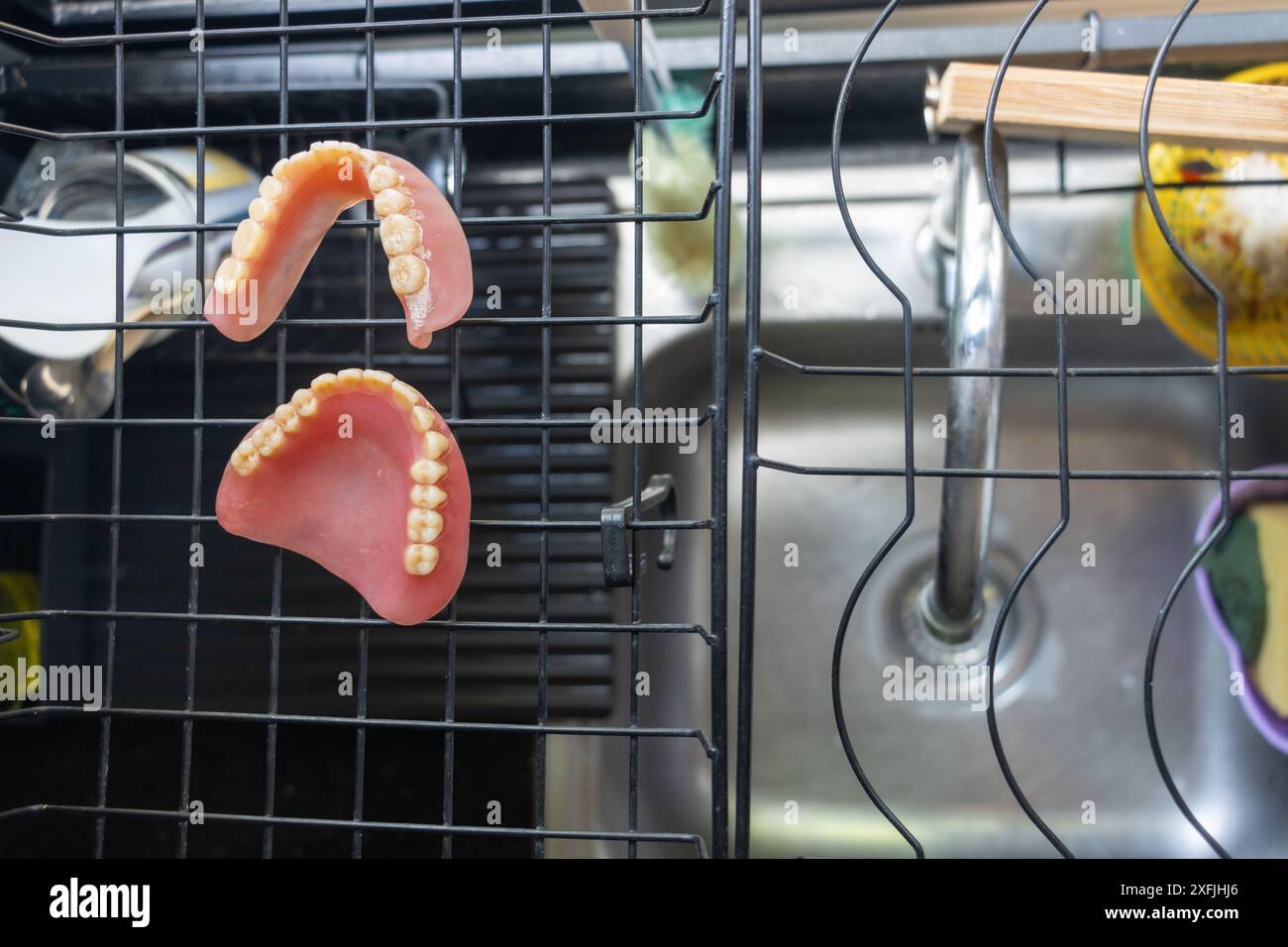False teeth holder hi-res stock photography and images - Alamy