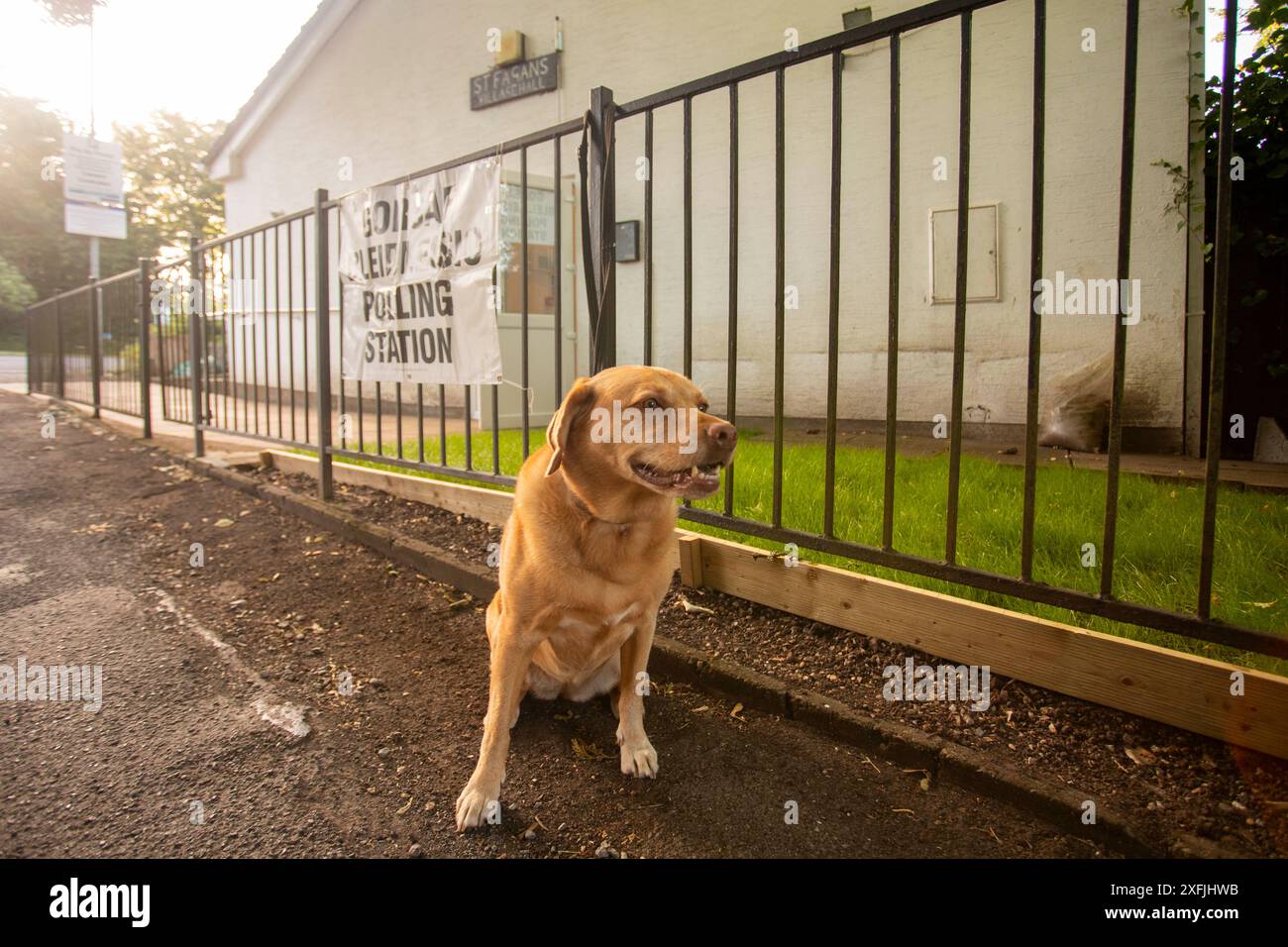 Dogs at polling stations 2024 hi-res stock photography and images - Alamy