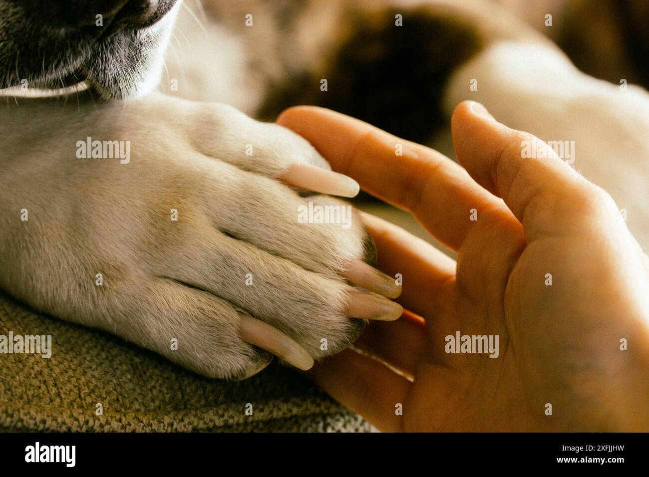 Unity of command hi-res stock photography and images - Alamy