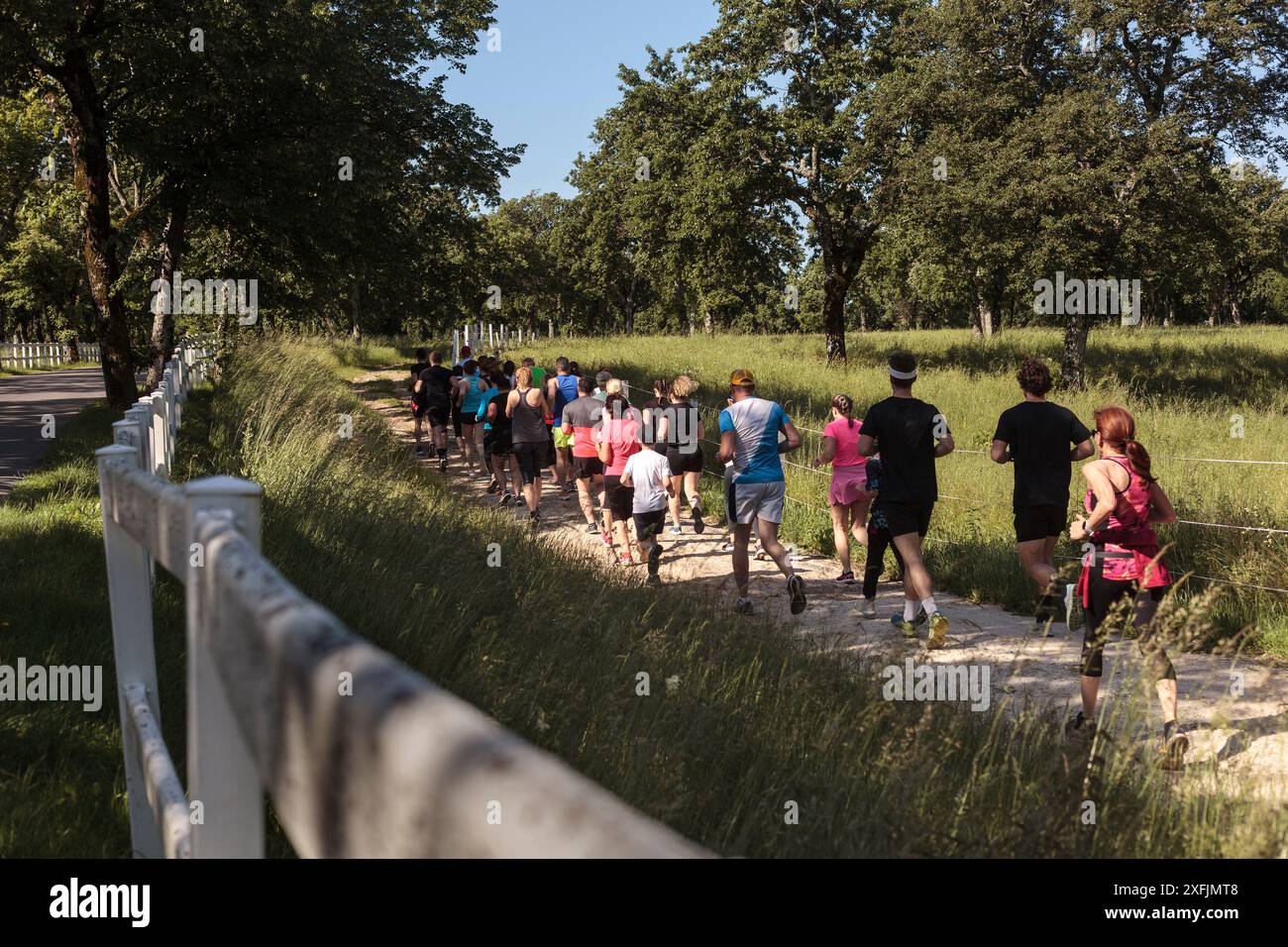 Group of runners in wood hi-res stock photography and images - Alamy